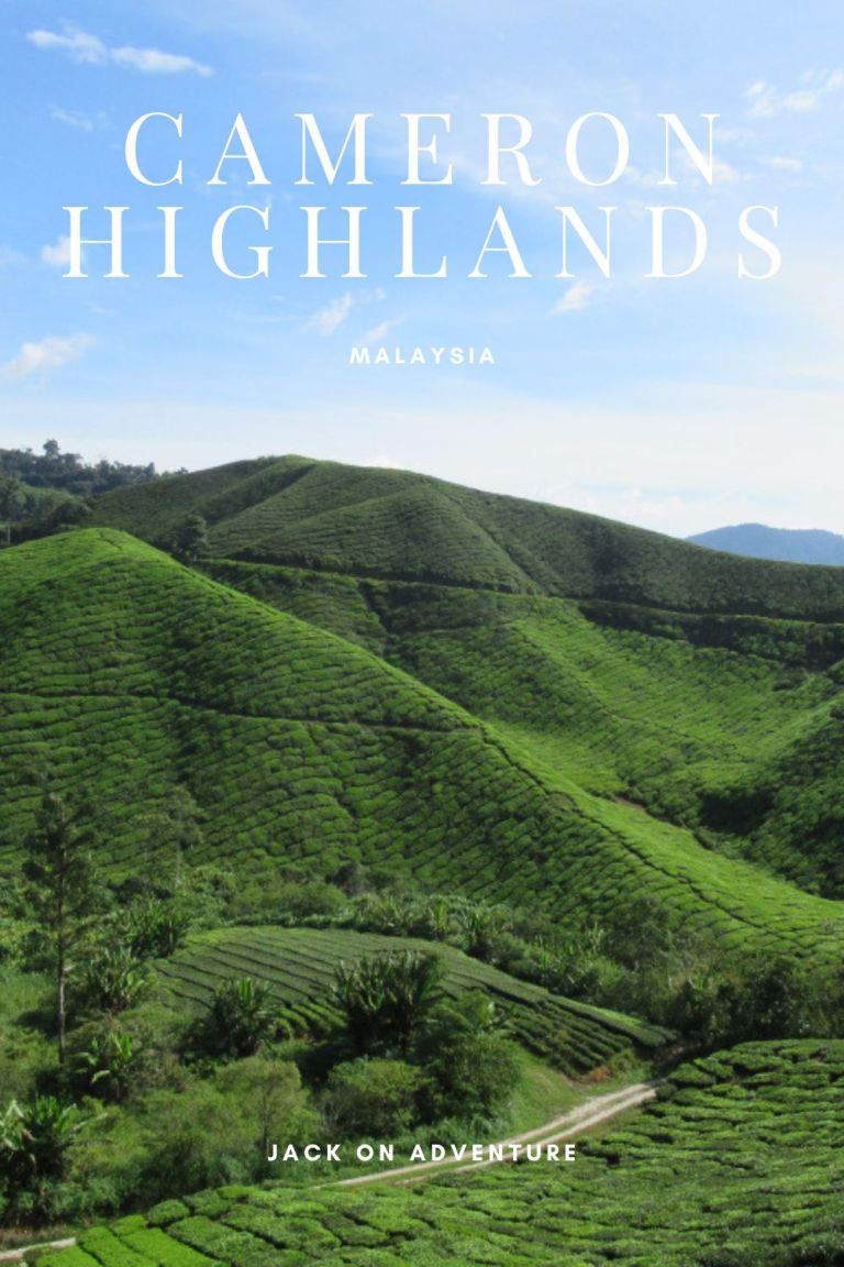 Cameron Highlands – Jack on Adventure
