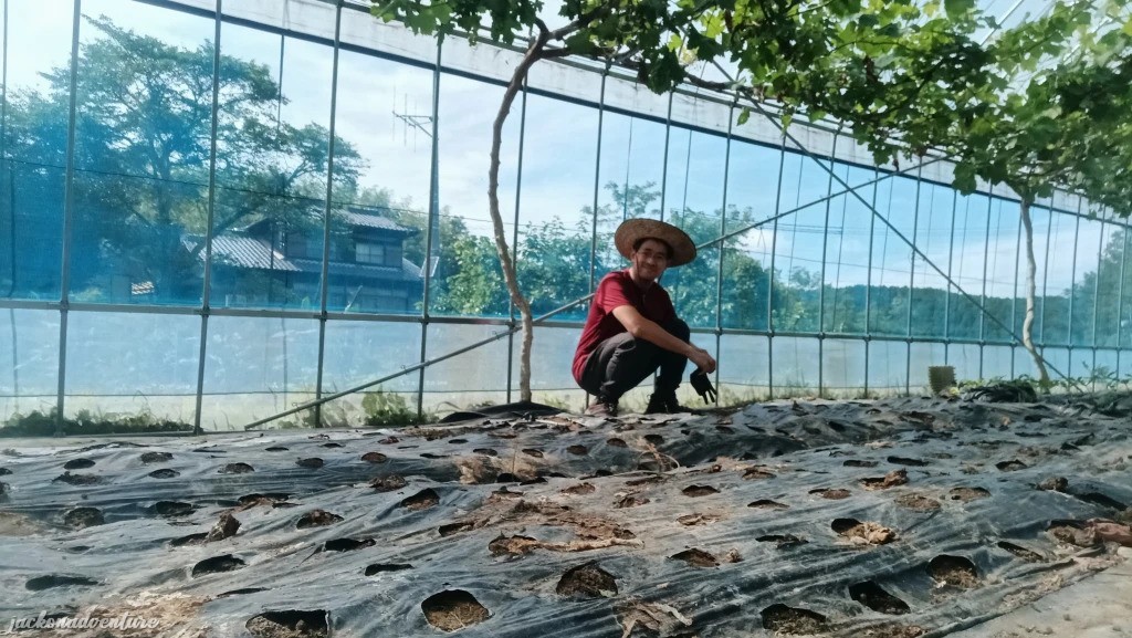 WWOOFing in Japan – Jack on Adventure