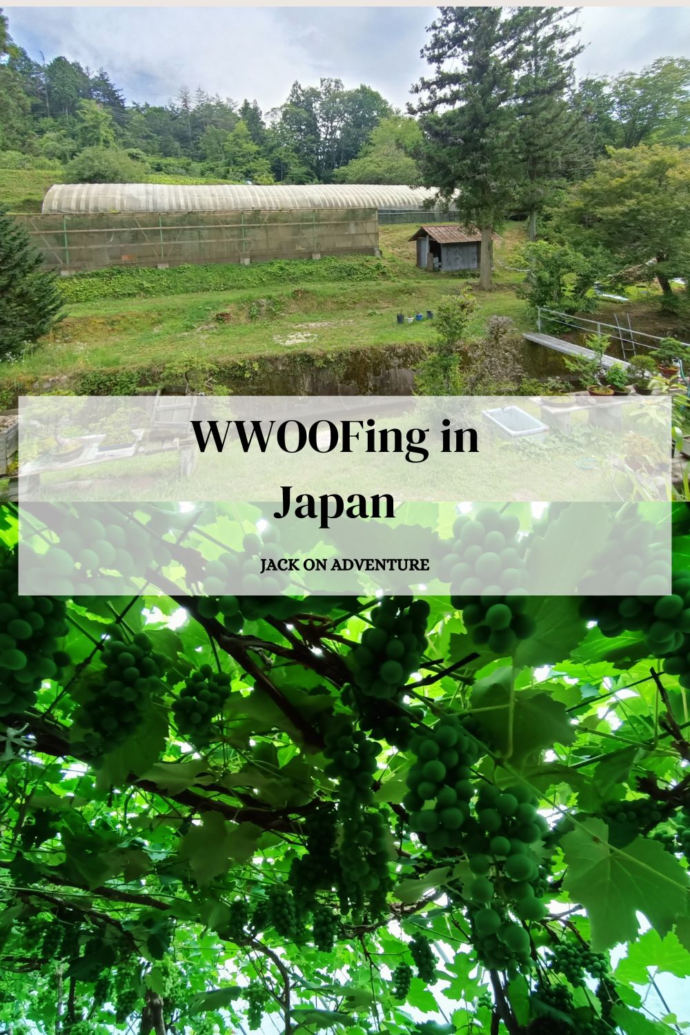 WWOOFing in Japan – Jack on Adventure