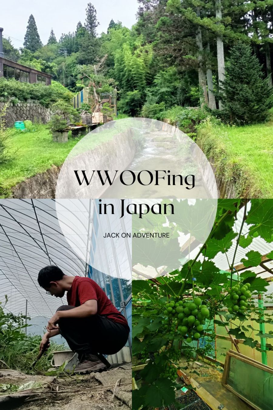 WWOOFing in Japan – Jack on Adventure